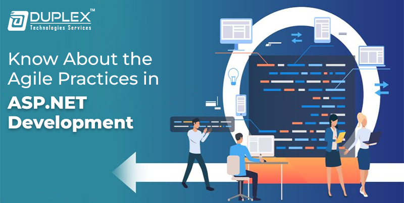 Agile ASP.NET Development | Agile Methodology & Practices | Duplex Technologies